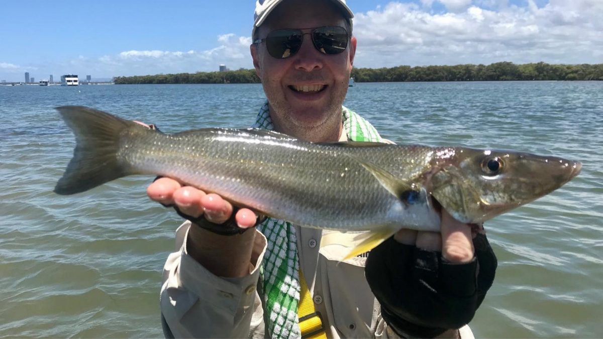 Gold Coast Fishing Discovery Fishing » #1 Gold Coast Fishing